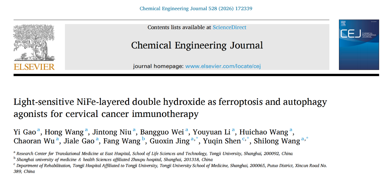 生命科学与技术学院汪世龙团队设计光敏NiFe-LDH多功能肿瘤协调治疗体系为宫颈癌免疫治疗提供新策略，成果发表于《化学工程期刊》-同济大学新闻网